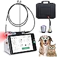 Amazon.com: Cold Laser Therapy System with LCD Touch Screen, High Power ...