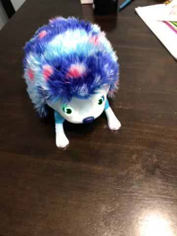 Amazon.com: Zoomer Hedgiez, Flip, Interactive Hedgehog with Lights ...