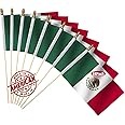 Amazon.com : LOT OF 24-Hand Held Small Mexico Mexican Flags on Stick ...