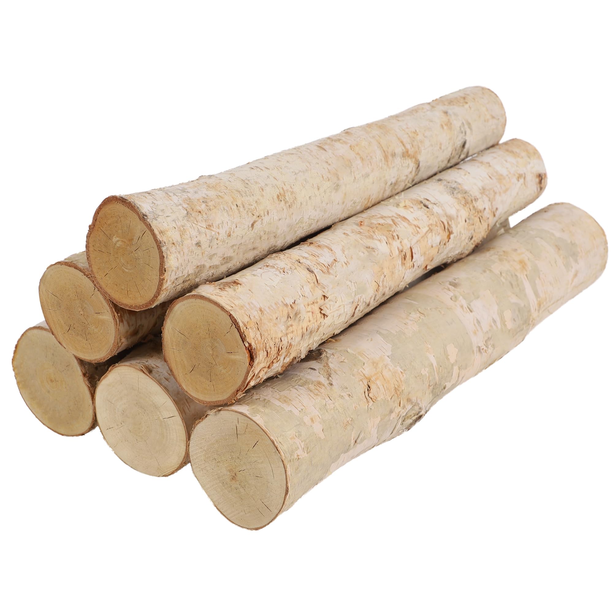 Prsildan 6 Pack White Birch Logs for Fake Fireplace Decorative Natural ...