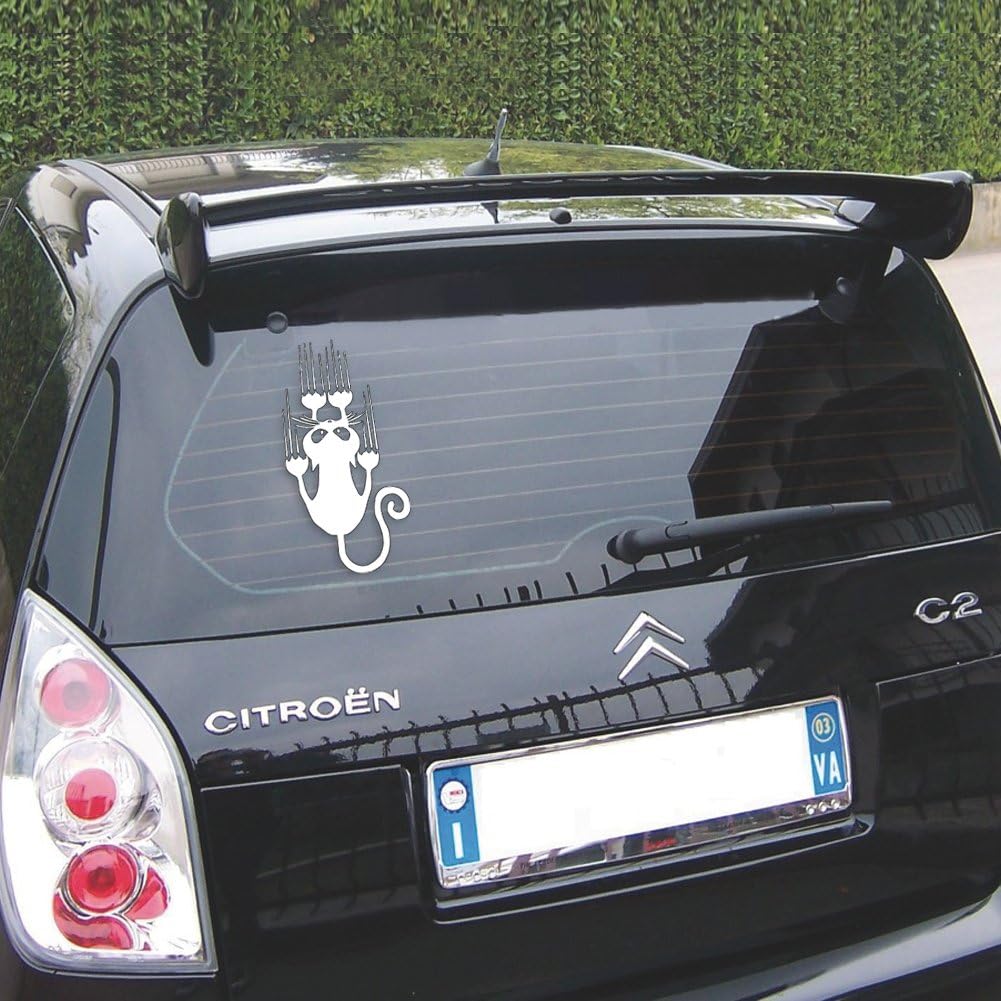 EQLEF Cute Funny Cat Car Stickers &Scratches Funny cat & Creative funny ...