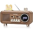 Amazon.com: Bingxue Vintage Clock Radio FM with Bluetooth Speaker ...