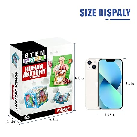 Mua Human Anatomy Study Cube Showing 9 Parts of The Human Body with ...