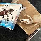 Amazon.com: Coconut Float Gigantic 70" Cockroach Inflatable Raft & Pool ...