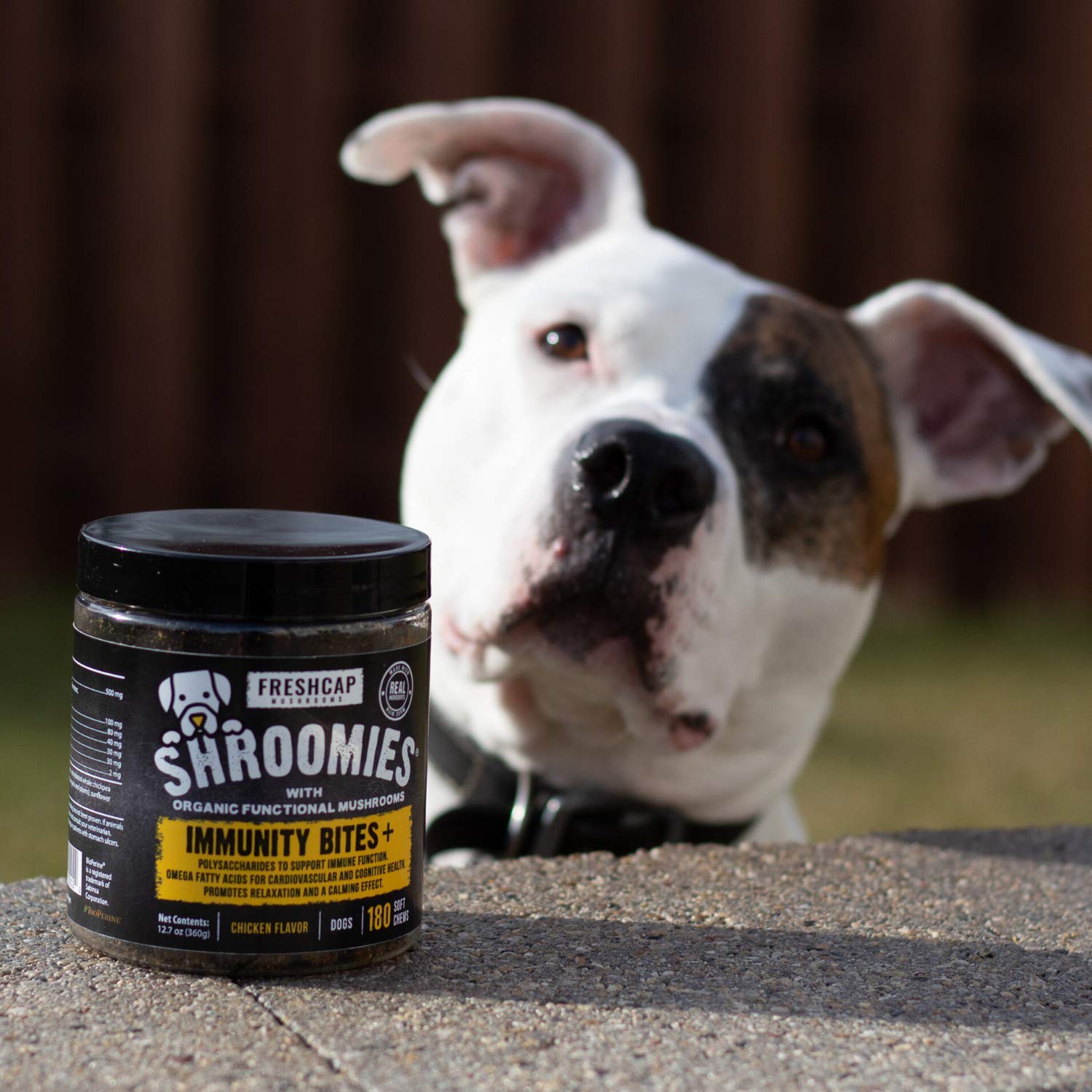 Mua Shroomies - Organic Mushroom Complex for Dogs - Turkey Tail, Lions ...