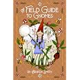 A Field Guide to Gnomes: Smith, Arwen: 9798848220704: Amazon.com: Books