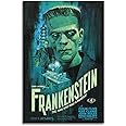 Amazon.com: Frankenstein Movie Canvas Poster And Music Album Posters ...