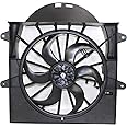Amazon.com: Garage-Pro Radiator Cooling Fan Assembly Compatible with ...