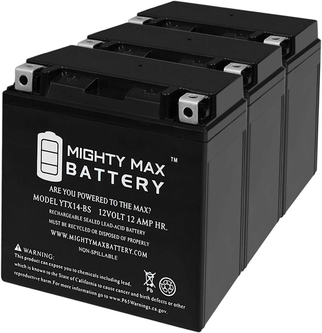 Amazon.com: Mighty Max Battery YTX14-BS 12V 12AH Replaces HYOSUNGMOTORS ...