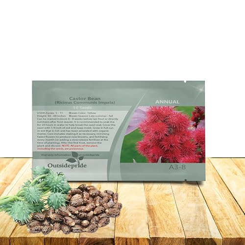 Outsidepride Impala Castor Bean Seeds - 50 Pcs. Annual Quick-Growing ...