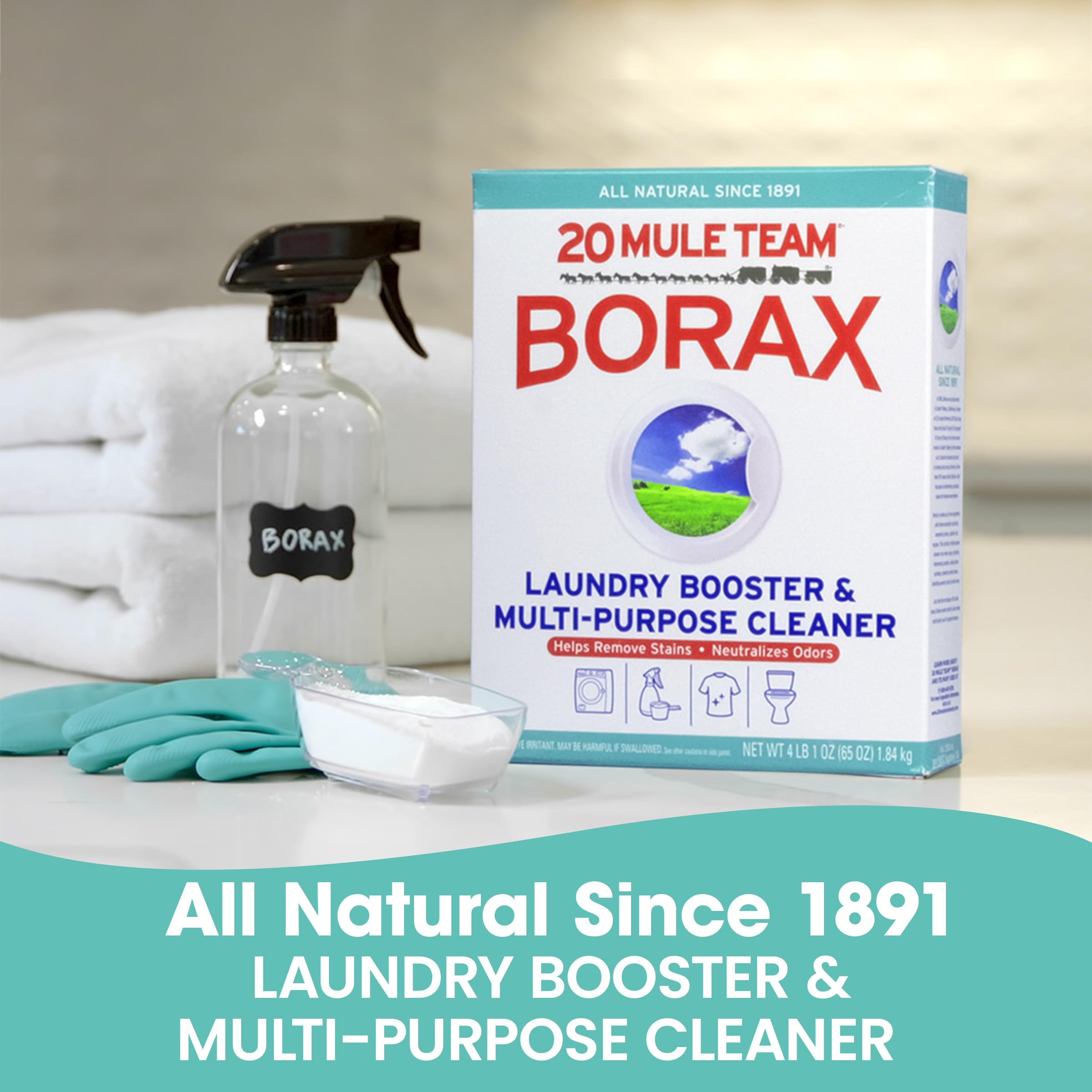 Mua 20 Mule Team All Natural Borax Detergent Booster & Multi-Purpose ...