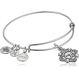 Amazon.com: Alex and Ani Womens Because I Love You A18BILY02RG Daughter Charm Bangle Bracelet ...