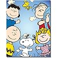 Amazon.com: Desperate Enterprises Peanuts Gang Tin Sign - Charlie Brown ...