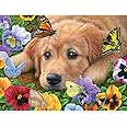 Amazon.com: Bits and Pieces – Large 300 Piece Jigsaw Puzzle for Adults ...