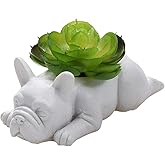 Amazon.com : HOKZYHOUSE Succulent Planter Bulldog Decor Mini Puppy Air ...