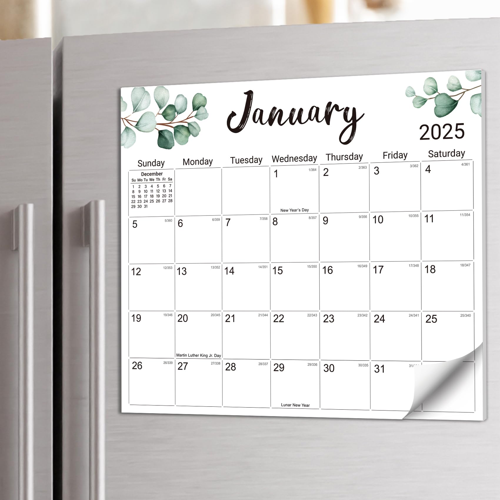 Aesthetic 2025 Magnetic Calendar for Refrigerator, Fridge Calendar ...