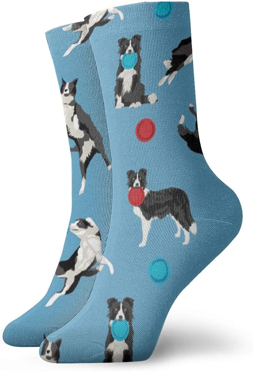 Border Collie Disc Dog Agility Dog Border Collie Black And White Border ...