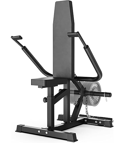 Seated Tricep Dip Machine