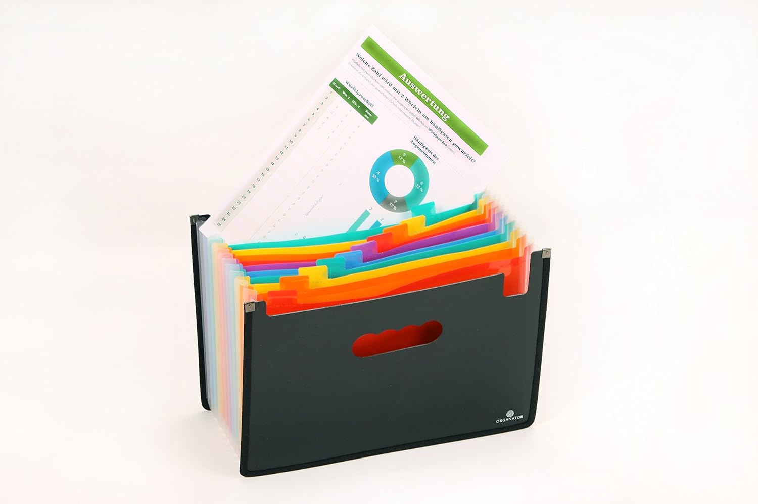 Organator Document folder DIN A4, sorting folder with 12 dividers as an ...