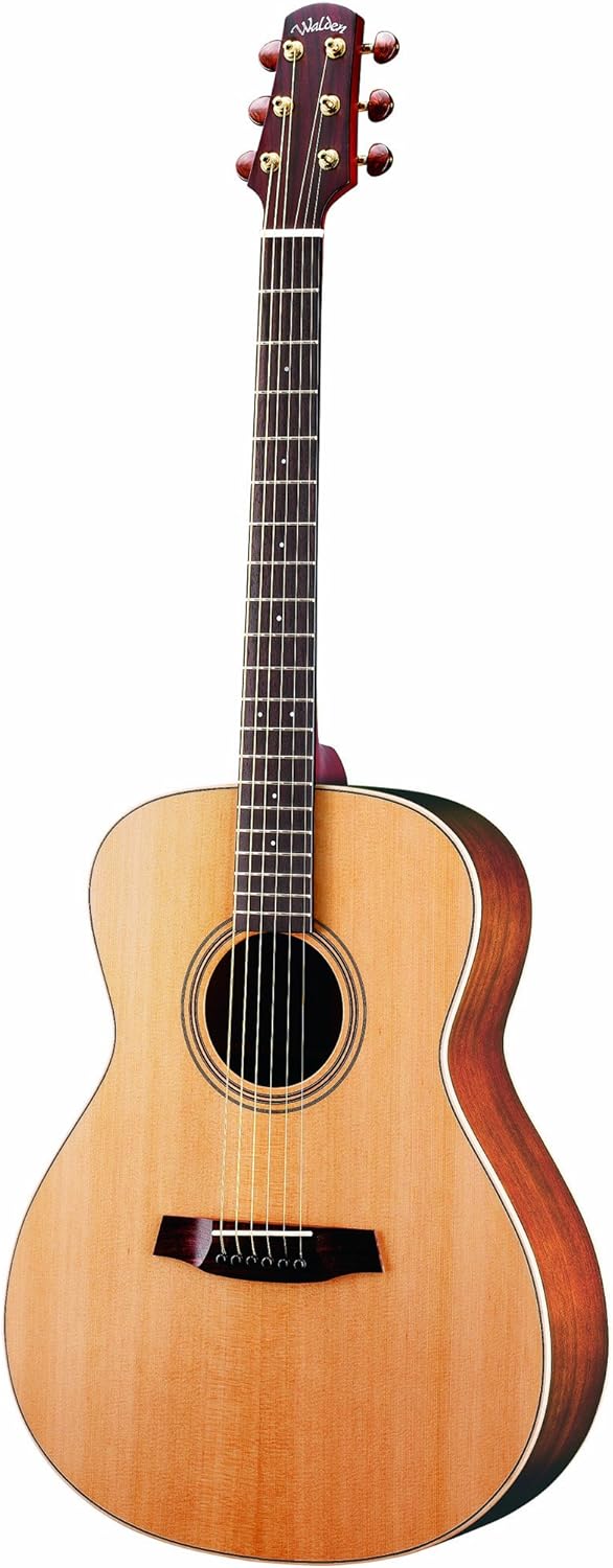 Walden Acoustic Guitars Walden Guitars G1070 Supranatura Grand ...