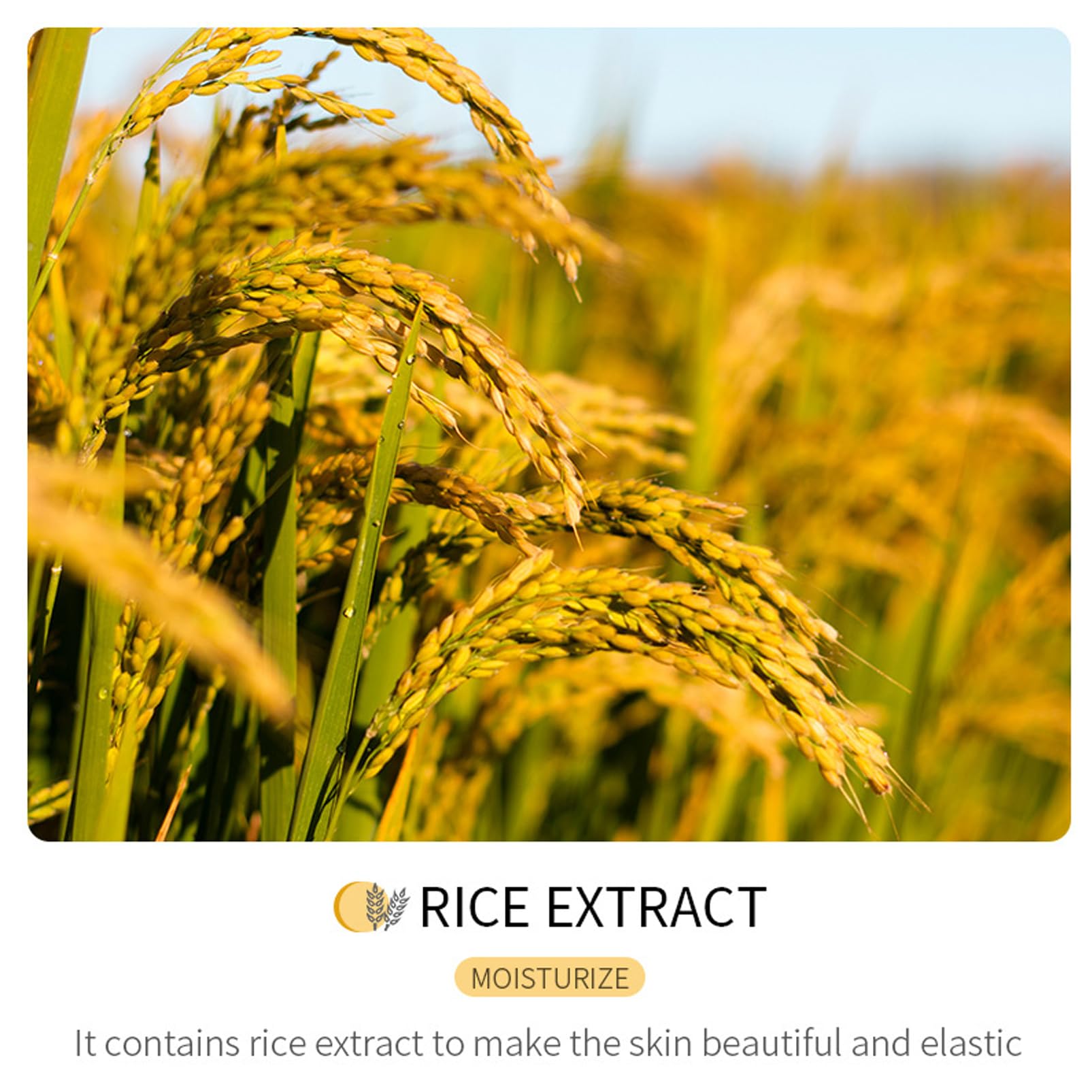 Mua Rosarden Rice Raw Pulp Skin Care Set for Women and Teenage Girls ...