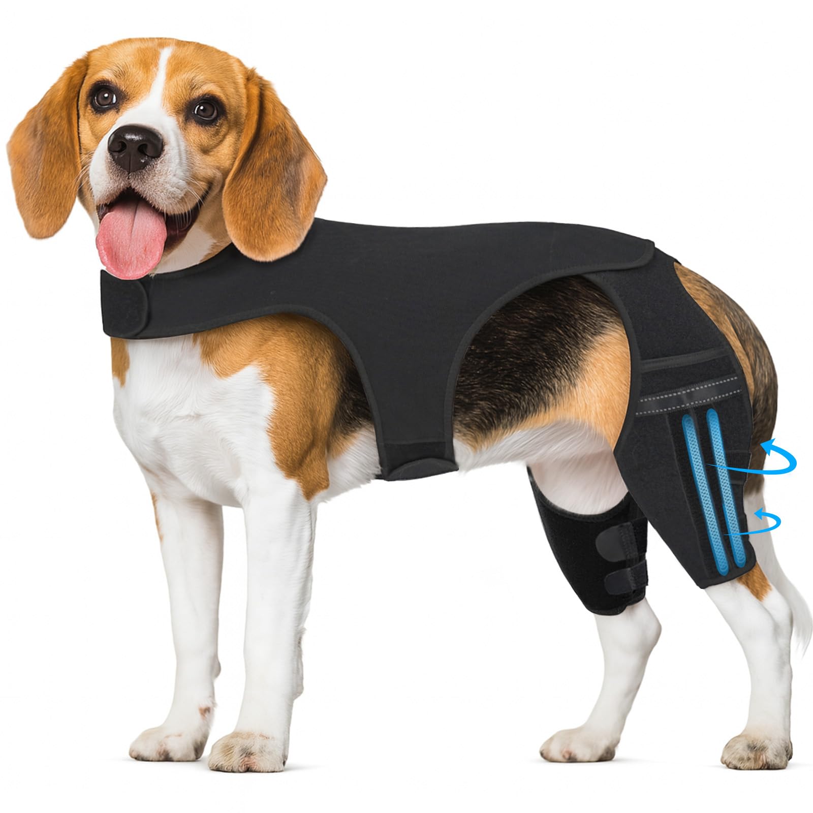 Dog Knee Brace ACL Brace for Dogs Rear Leg & Hip Support Solution to ...