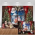 Amazon.com : Mocsicka Rustic Christmas Window Tree Gifts Holiday Snow Mountain Photo Background ...