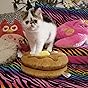Amazon.com: Kidrobot YUMMY Breakfast Pancake 10" Plush : Toys & Games