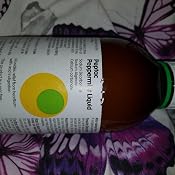 Peptac Peppermint Liquid x 500ml: Amazon.co.uk: Health & Personal Care