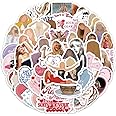 Amazon.com: 60PCS Sabrina Carpenter Stickers Pack for Water Bottle ...