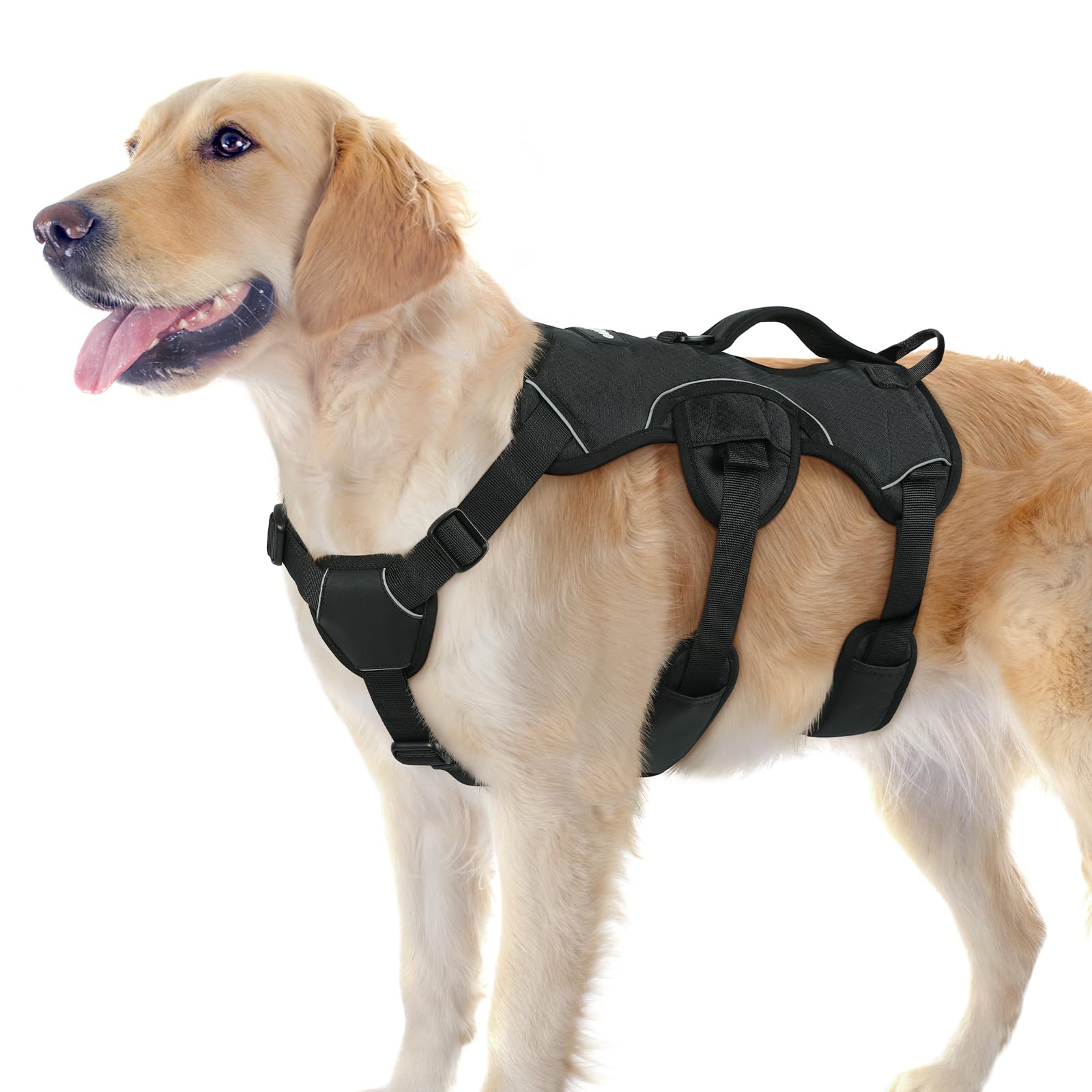 rabbitgoo Escape Proof Dog Harness, Soft Padded Full Body Pet Harness ...