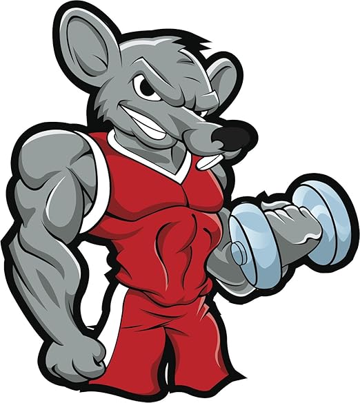 Amazon.com: Body Building Muscular Mouse Rat Cartoon Vinyl Decal ...