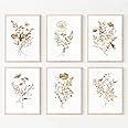 Amazon.com: Watercolor Flower Wall Art Set of 6 Botanical Wildflower ...