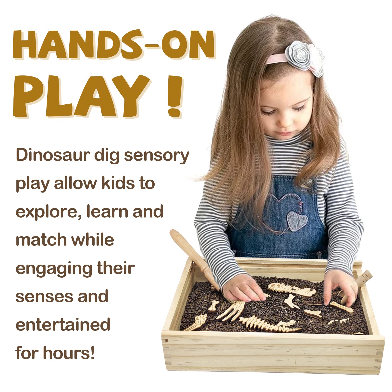 Mua Xylolin Dinosaur Excavation Archaeology Dig Kit for Kids, Fossil ...