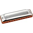 Amazon.com: Seydel Harmonica (Blues SESSION Steel C) : Musical Instruments