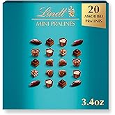 Amazon.com: Lindt Mini Pralines, Assorted Chocolate Candy Pralines with ...