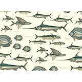 Amazon.com: Cavallini & Co. Natural History Fish Decorative Decoupage ...