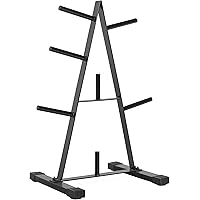 CAP Barbell Plate Rack, 1", Black, Plate Trees - Amazon Canada