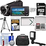 Amazon.com : Sony CX405 Handycam 1080p Camcorder Bundle with 32GB SD ...