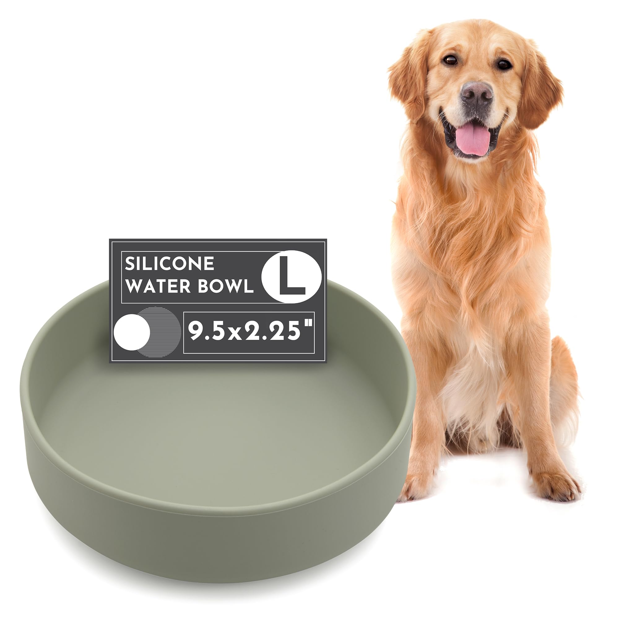 Should We Go? The Perfect Dish - Durable Dog Water Bowl - No Spill ...
