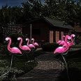 Amazon.com : Geelin 6 Packs Pink Flamingo Solar Lights Outdoor ...