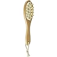 Amazon.com : Daylee Naturals Massage Brush : Bath Brushes : Beauty ...