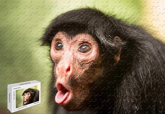 Amazon.com: 500 Piece Jigsaw Puzzle - Chimpanzee Monkey Cute Animals ...