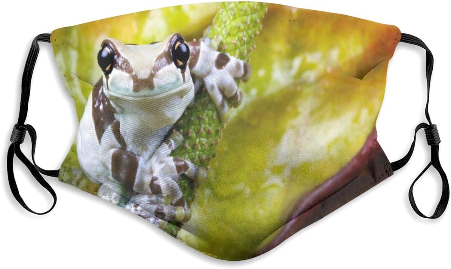 Hierceson Frog Face Mask with Filter Strap Washable Bandanas Balaclava ...