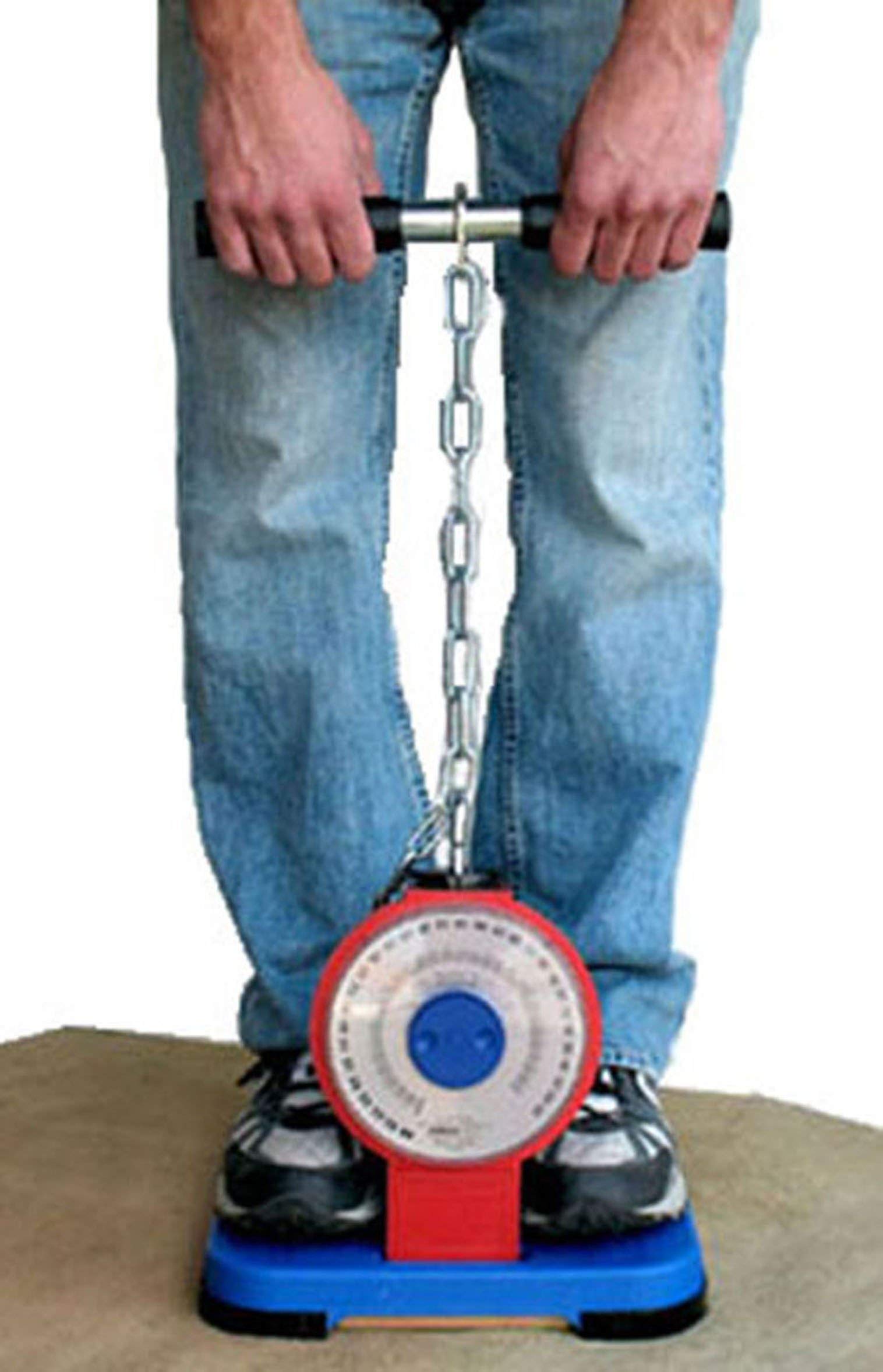 Back, Leg, And Chest Strength Dynamometer/Tester (KGs) on Galleon ...