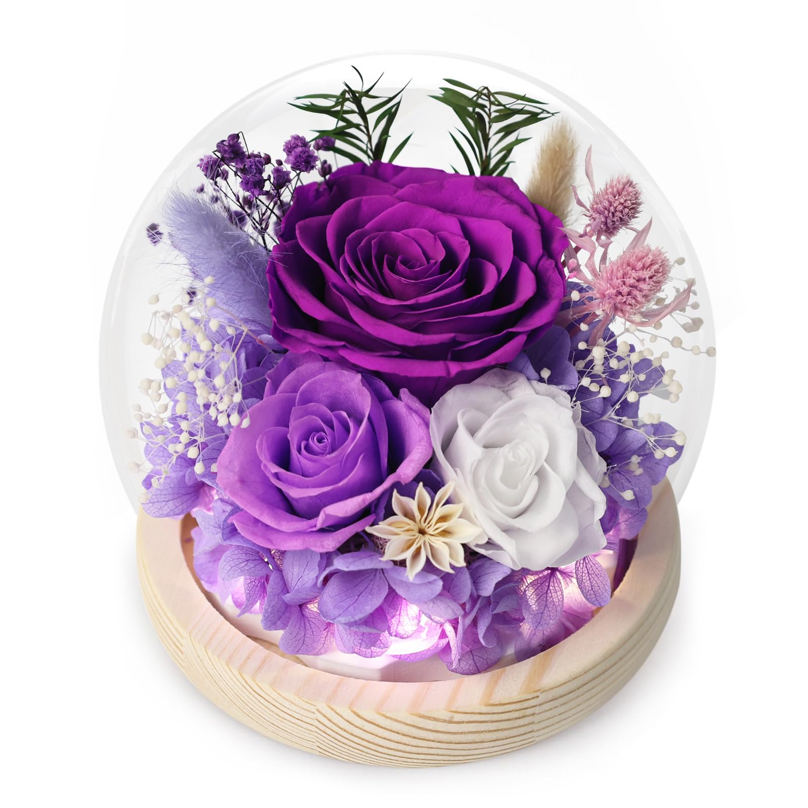 FIACO Preserved Flowers in Glass Dome Forever Fresh Flowers for ...