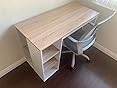 Amazon.com: Office Computer Writing Desk with Storage Large Work Desk ...