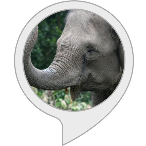 Amazon.com: Wild elephants : Alexa Skills