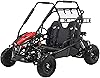 Coleman Powersports GK200 196cc Gas Powered Dual Seat Go-Kart, Reverse ...