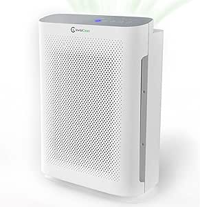 Amazon.com: InvisiClean Aura II Air Purifier for Home Allergies & Pets ...